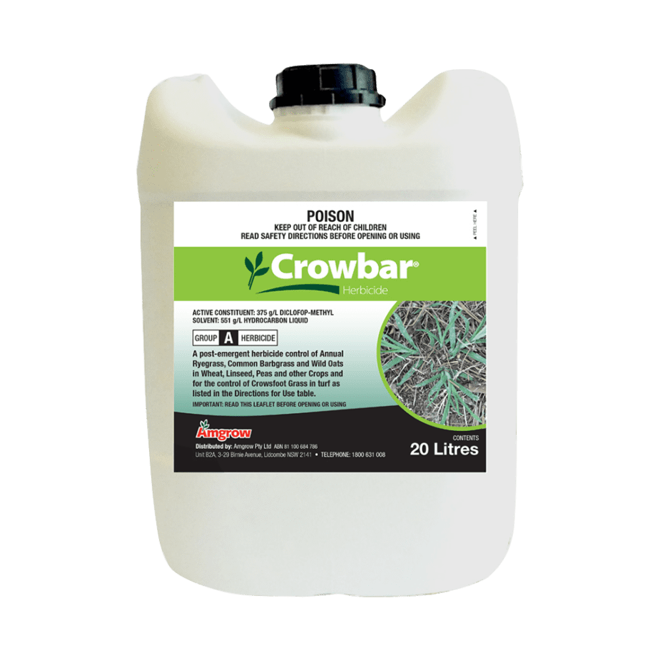 Superior Pest Control Solutions in Dunsborough & the South West