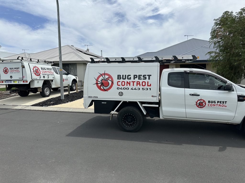 Pest Control & Termite Services | Residential and Commercial